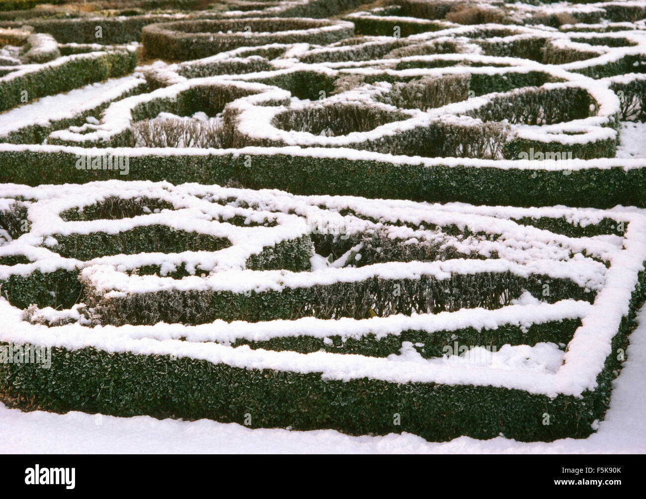 View of a snow covered formal knot garden in winter Stock Photo - Alamy