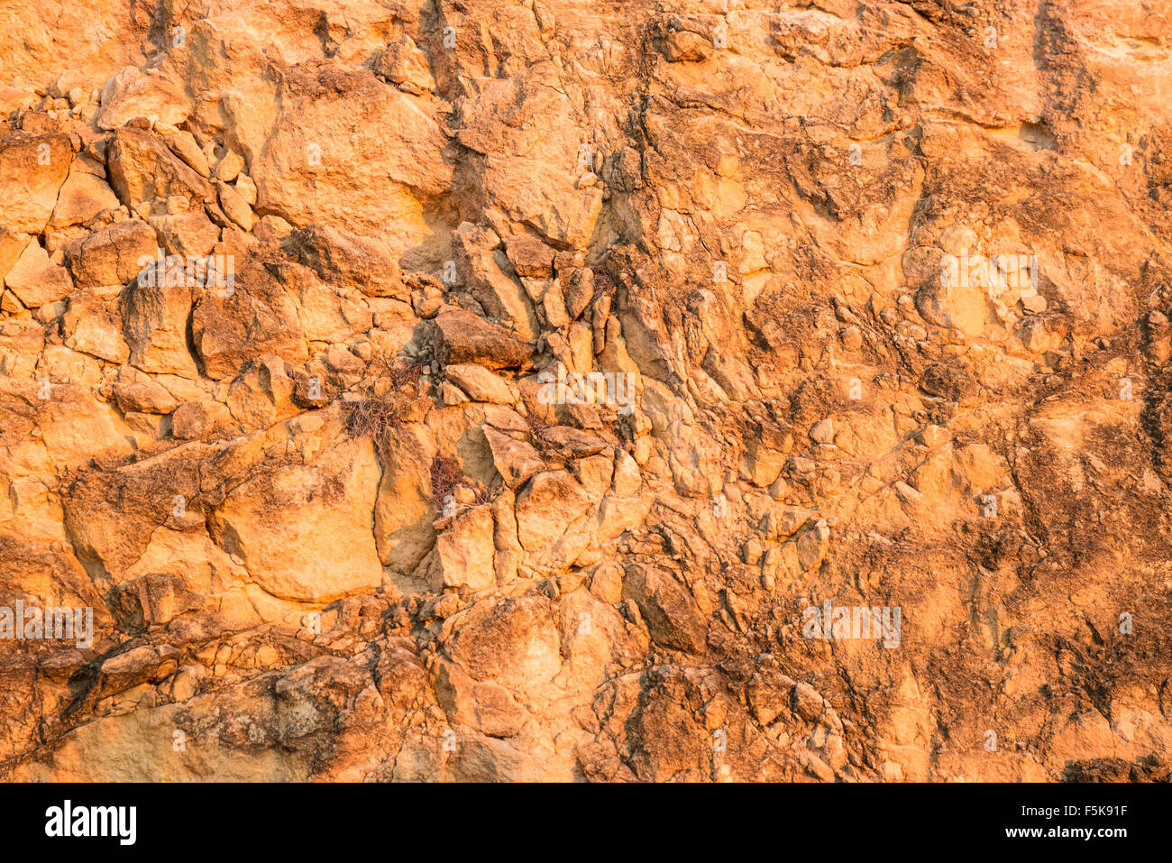 Full frame take of the texture of a limestone rock Stock Photo - Alamy