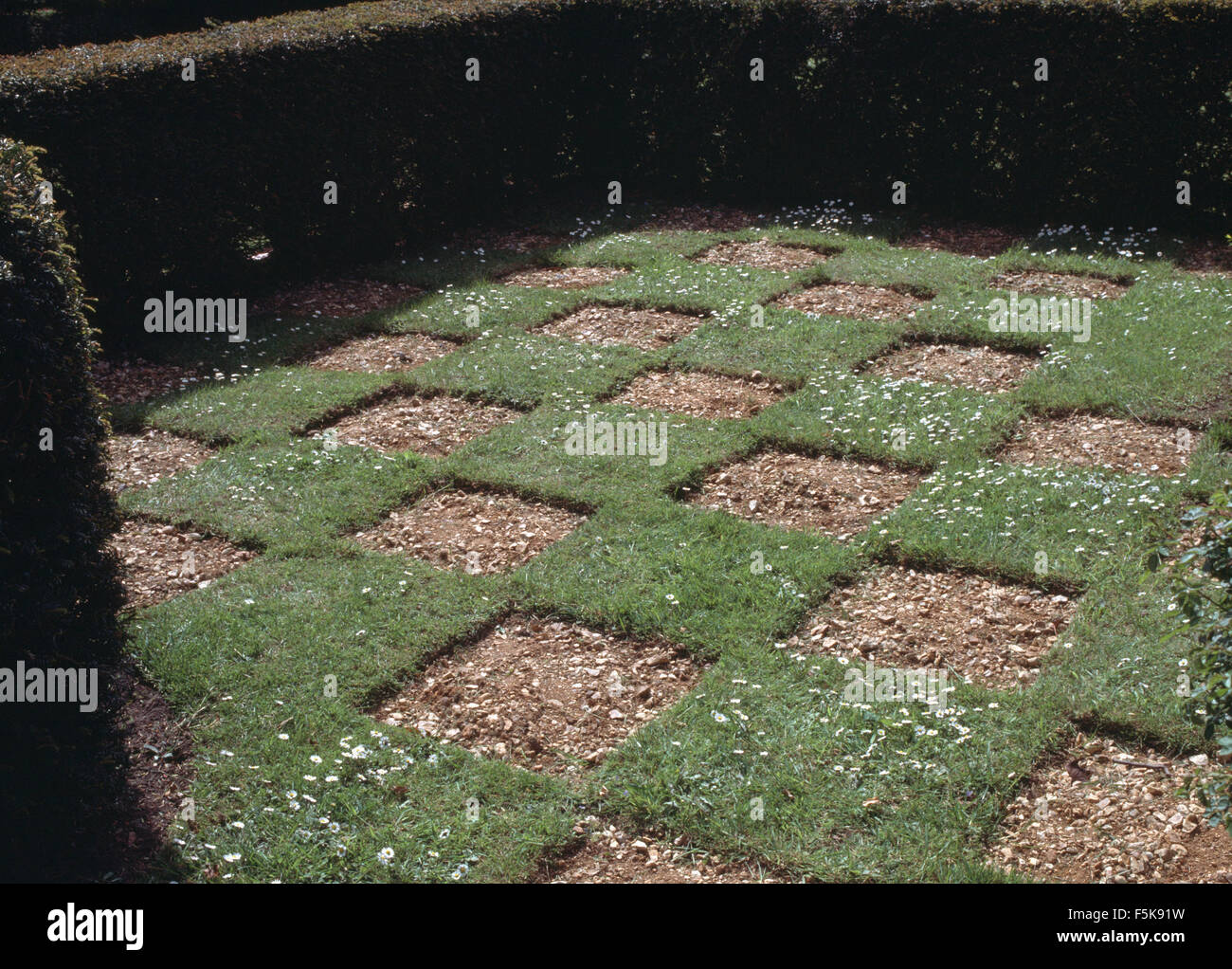 Grass and gravel chequer board squares enclosed by a clipped hedge ...