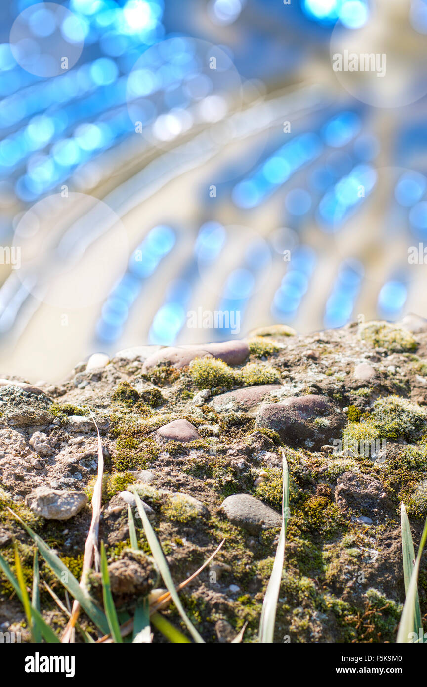 Natu hi-res stock photography and images - Alamy