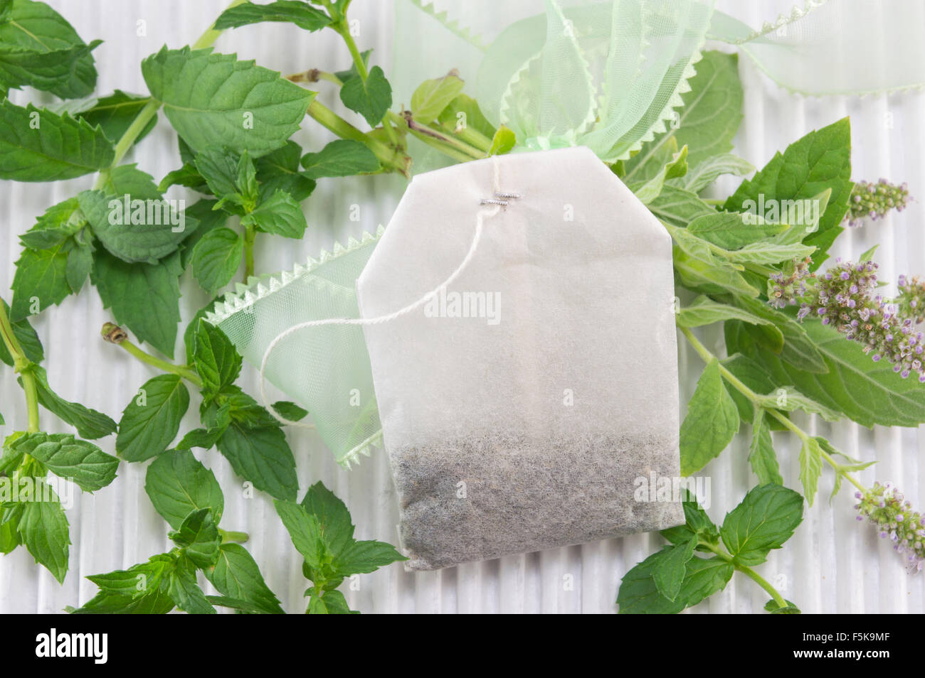 Green tea bag hi-res stock photography and images - Alamy