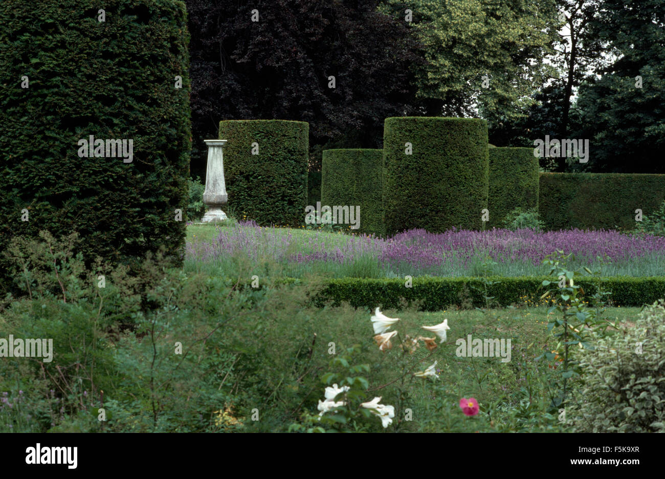 Clipped yew yews hedge topiary hi-res stock photography and images - Alamy