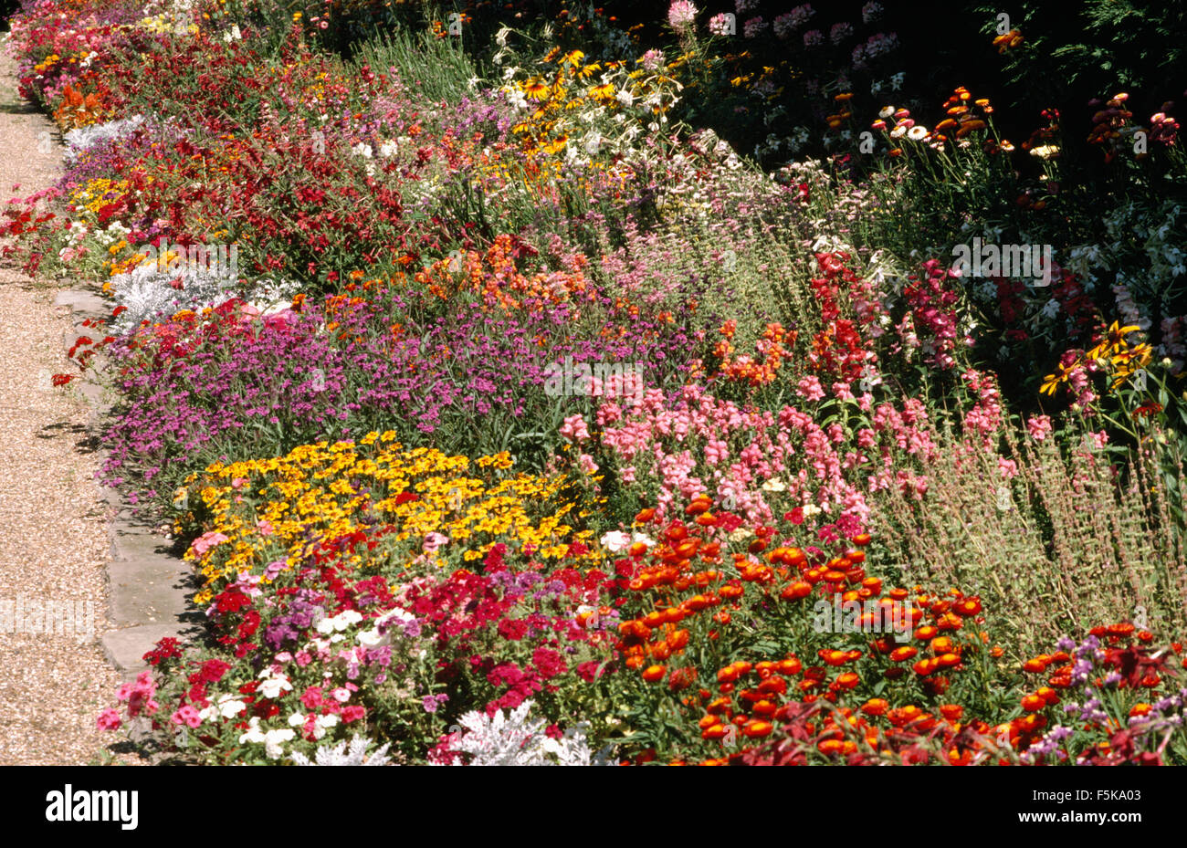 Brightly colored annuals in a wide summer border in a large country ...
