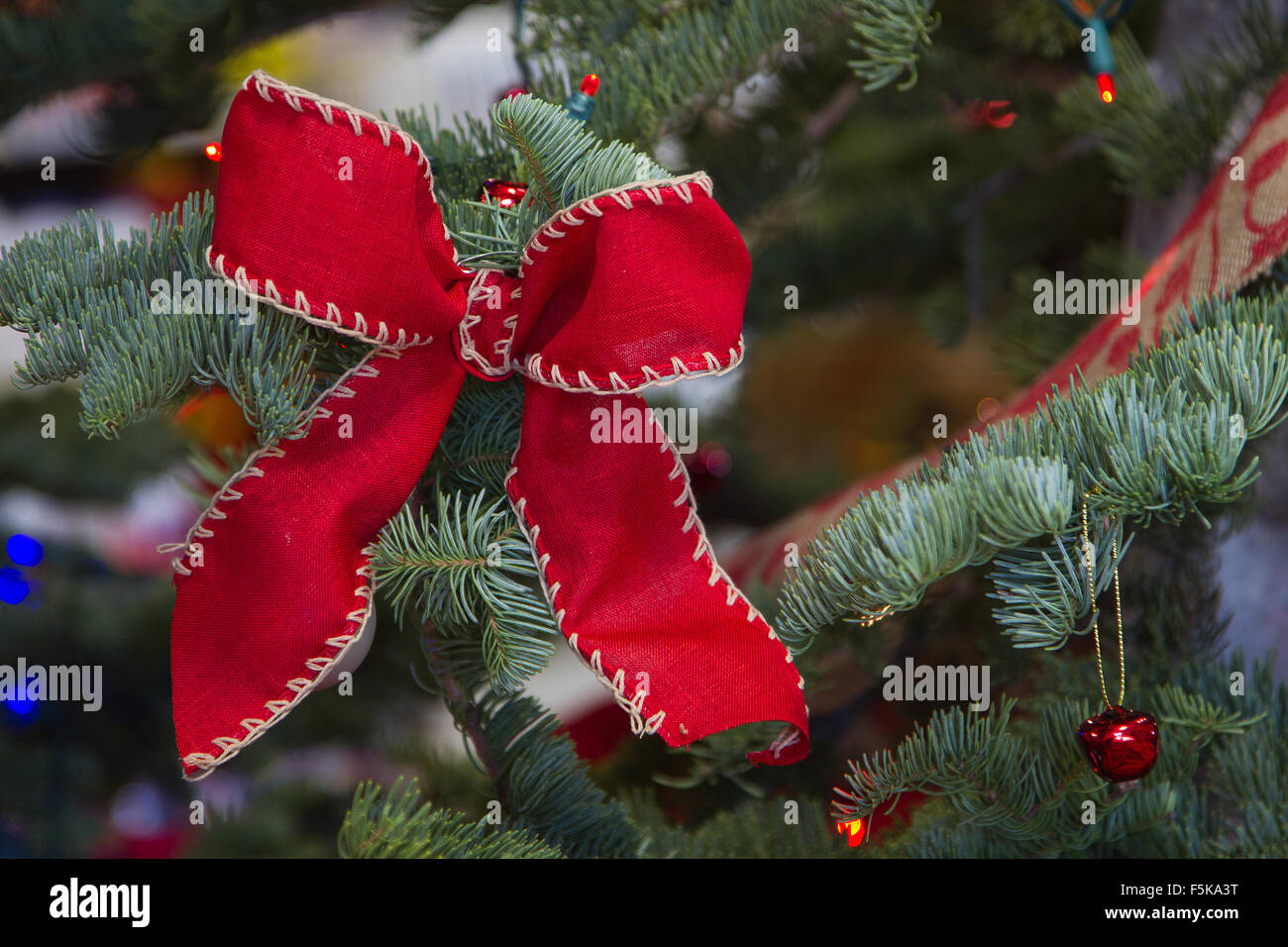 A red Christmas bow on an evergreen tree Stock Photo - Alamy