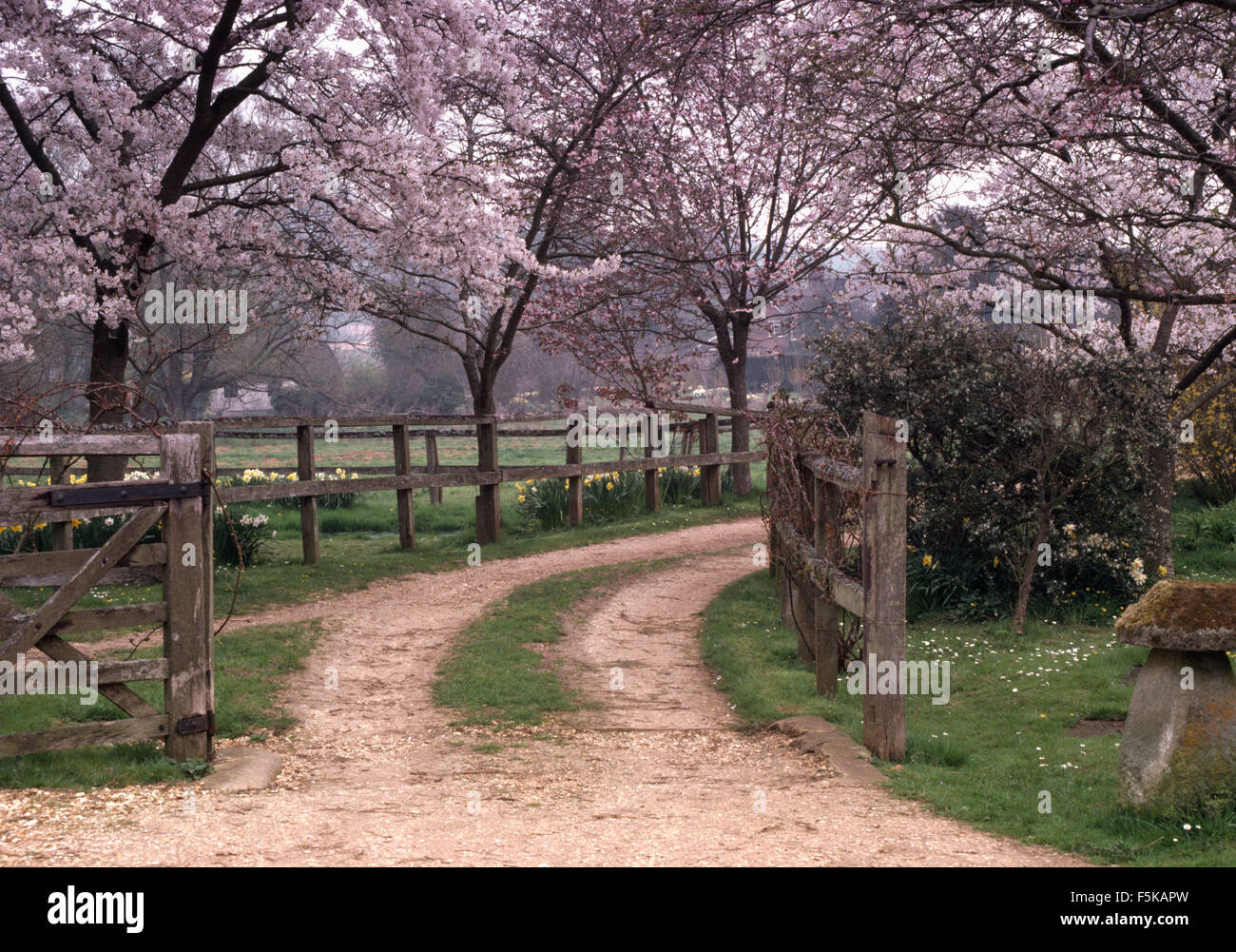 Trees fencing hi-res stock photography and images - Alamy