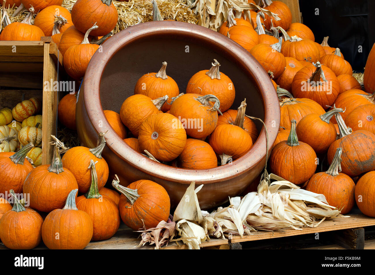 Eyes horror pumpkins hi-res stock photography and images - Alamy