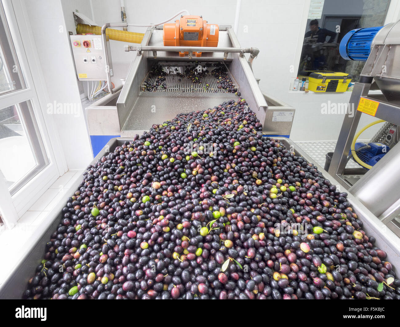 Small scale but modern producer of high quality Extra virgin olive oil ...