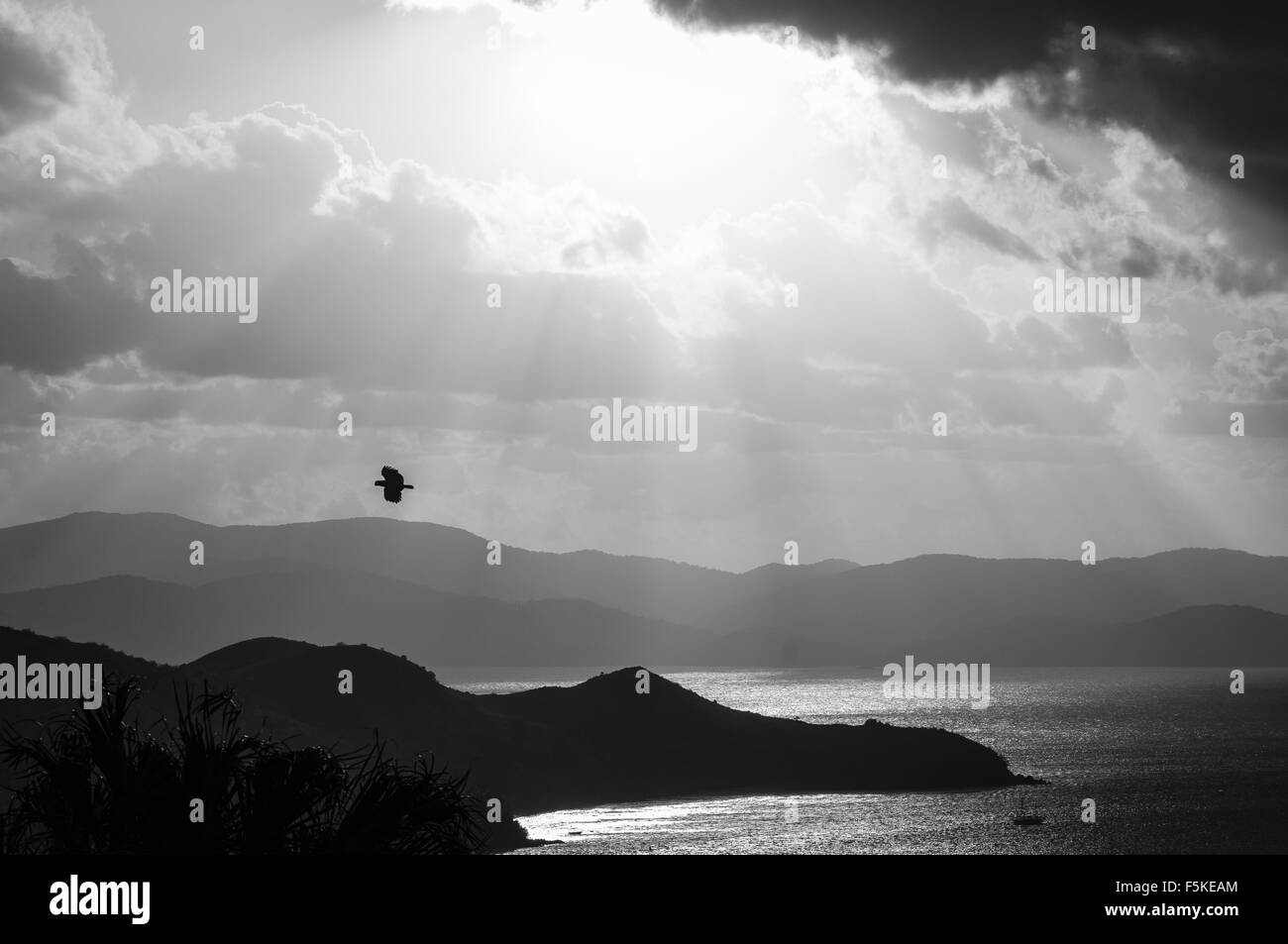 Broad wide Black and White Stock Photos & Images - Alamy