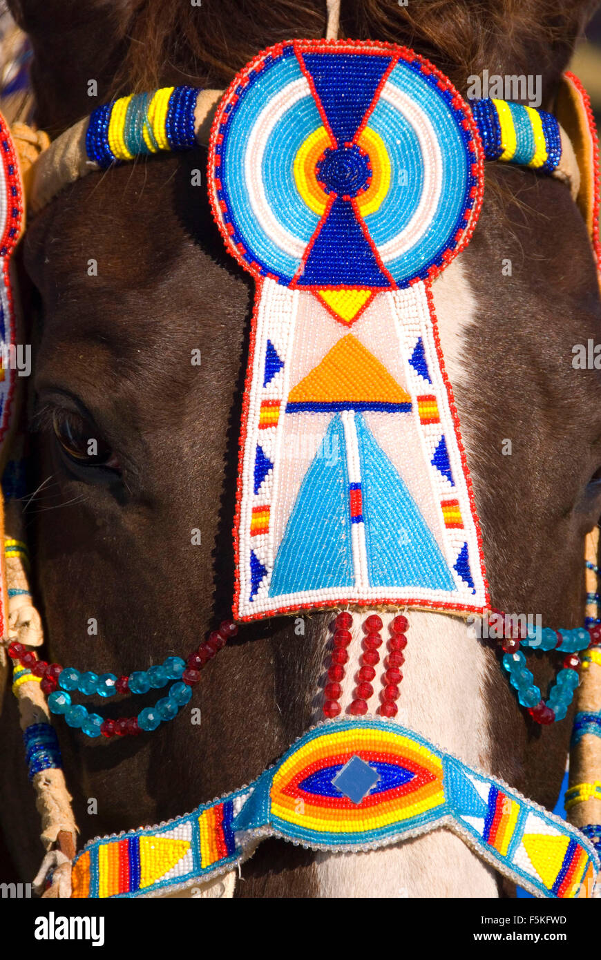 Native American rider beadwork, St Paul Rodeo Parade, St Paul, Oregon ...