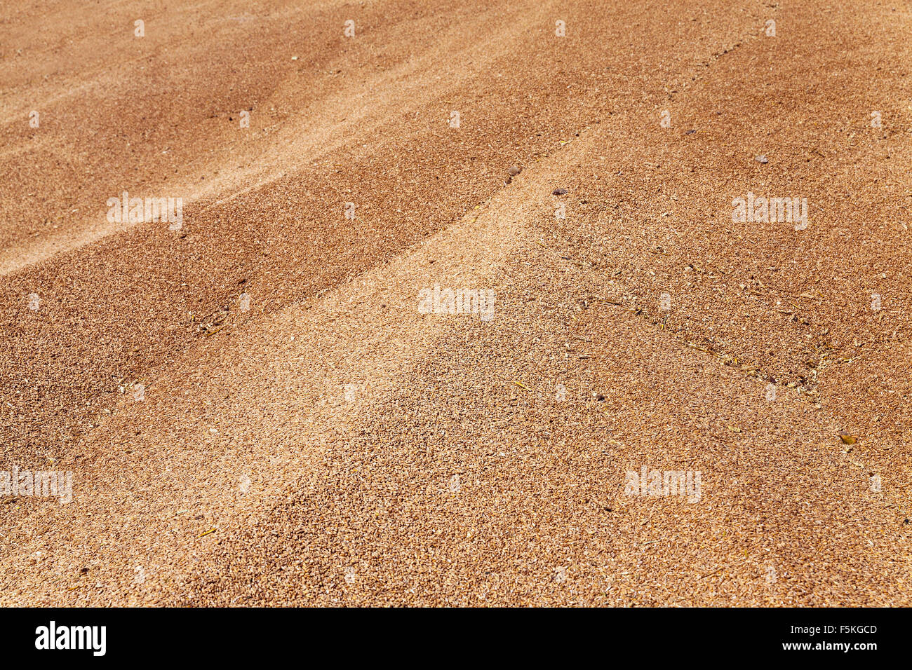grain wheat . heap Stock Photo - Alamy