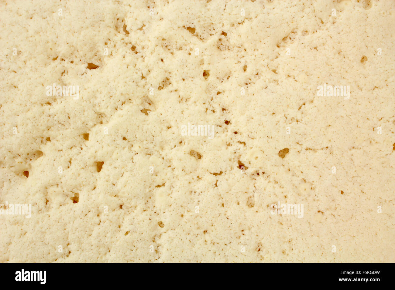 Texture of yeasted dough Stock Photo - Alamy