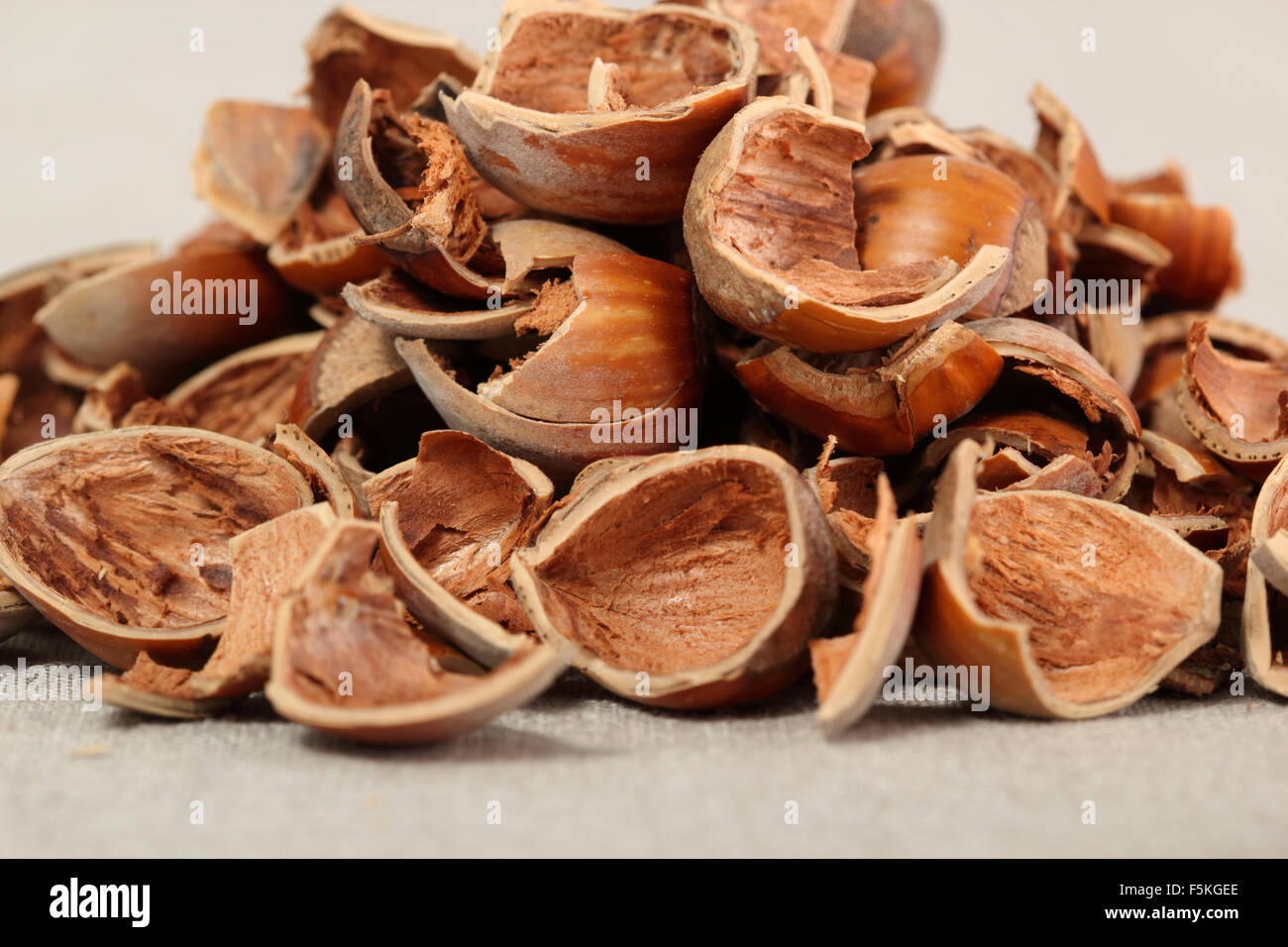 Heap of hazelnuts shell Stock Photo - Alamy