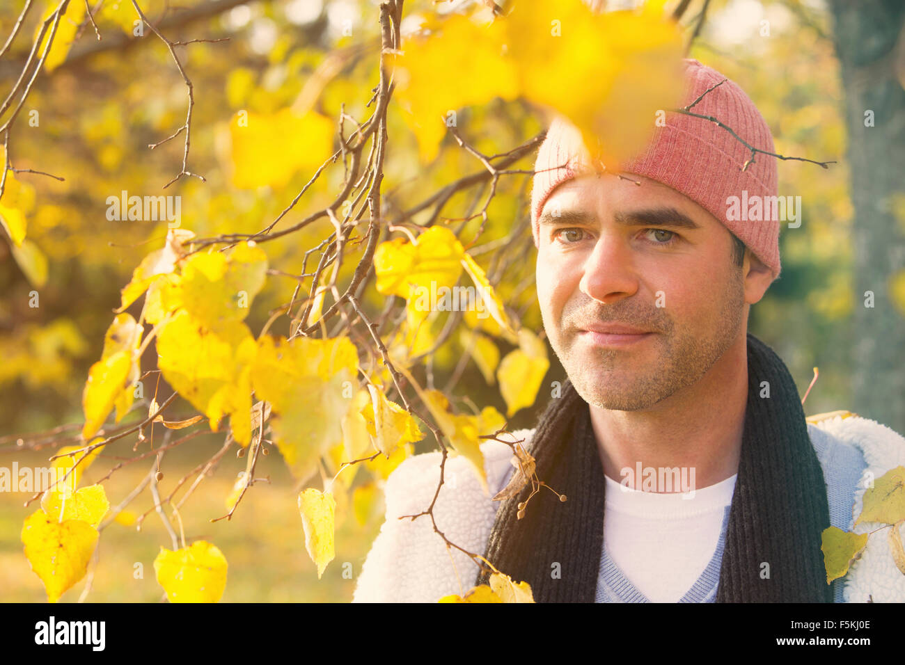 portrait of a man by a tree in fall Stock Photo - Alamy