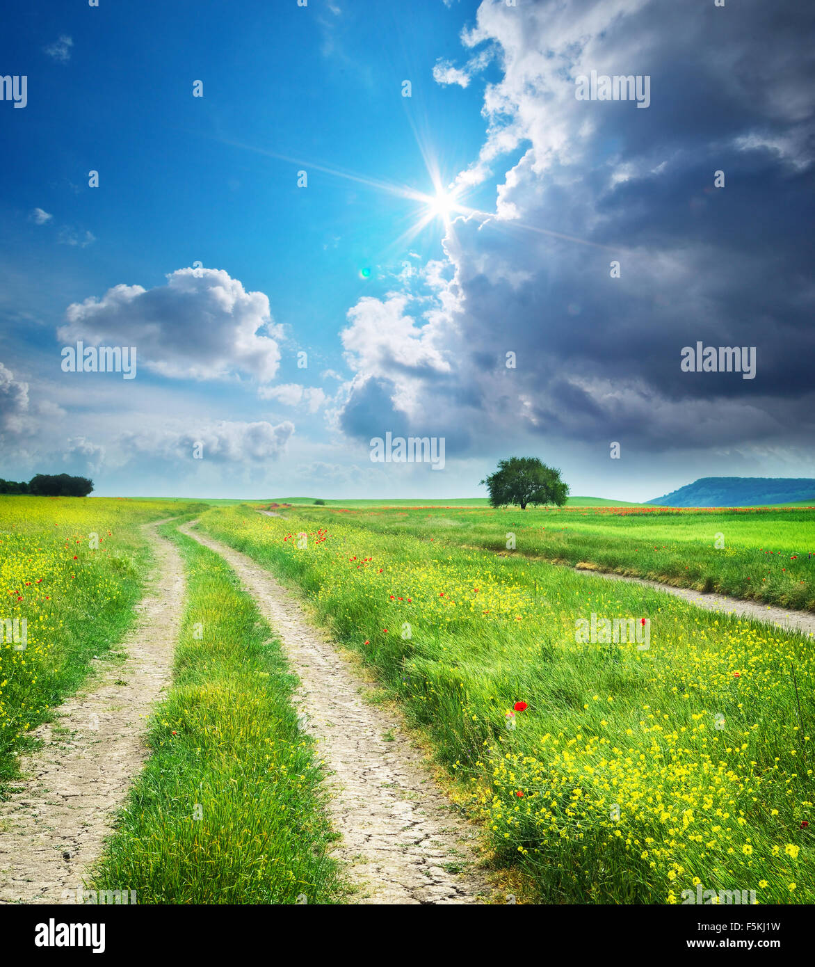 Road lane and deep blue sky. Nature design Stock Photo - Alamy