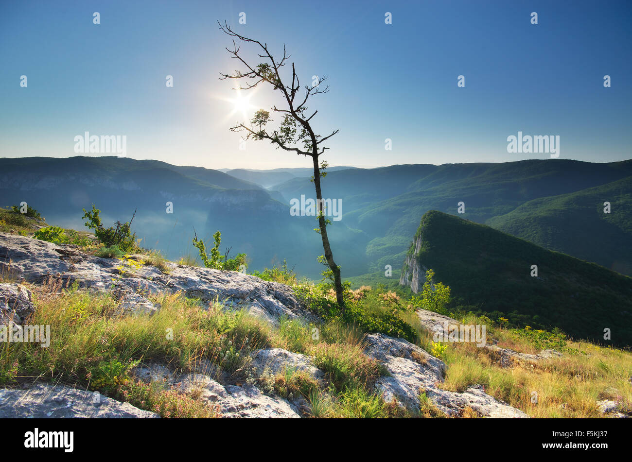 Mountain landscape. Composition of nature Stock Photo - Alamy