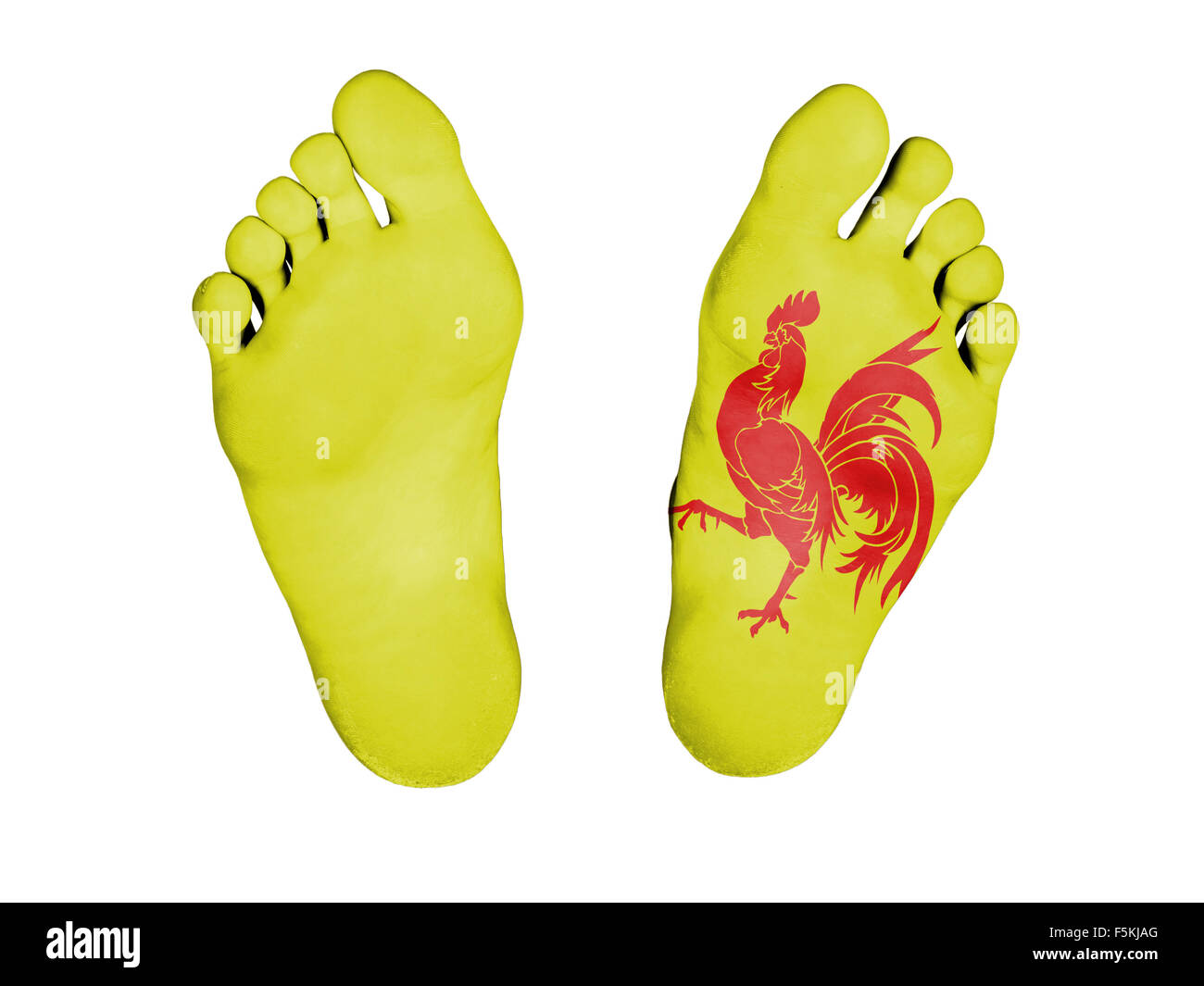 Dead body under a white sheet, suicide, murder or natural death Stock ...