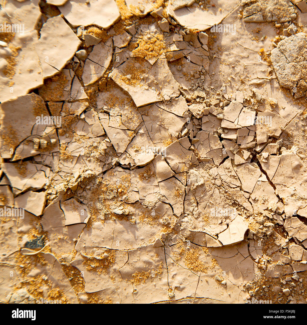 cracked sand in morocco africa desert abstract macro Stock Photo - Alamy