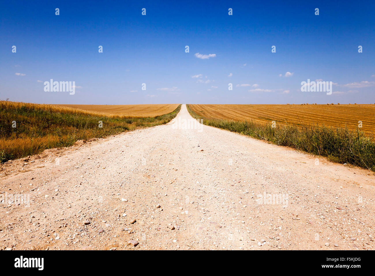 road in spring Stock Photo - Alamy