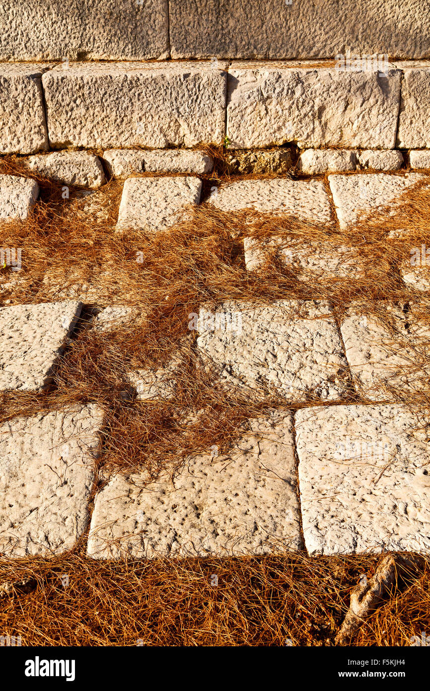 pine needles in arykanda antalya turkey asia and ruins Stock Photo - Alamy
