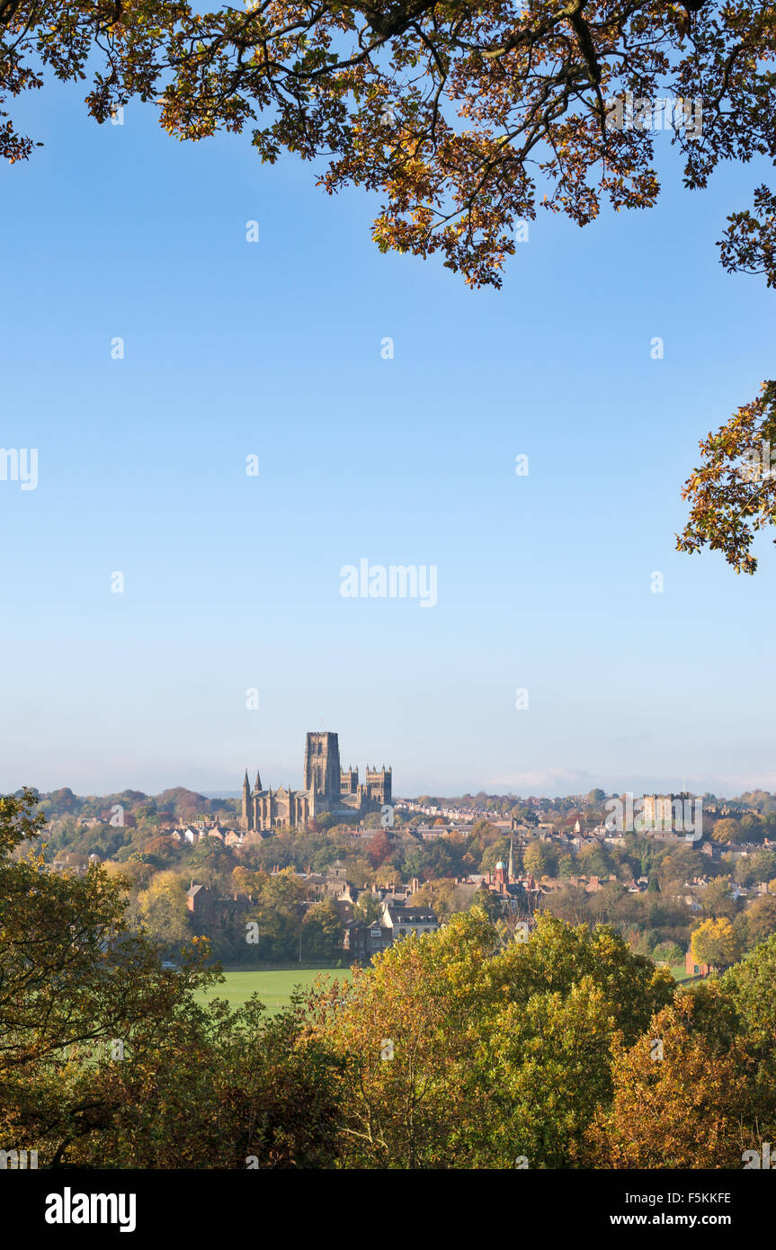 Autumn fall foliage colour hi-res stock photography and images - Alamy