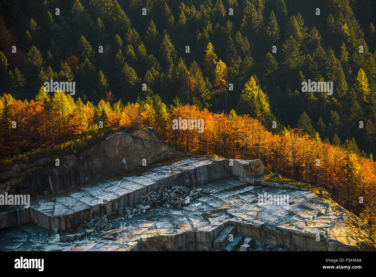 Serizzo hi-res stock photography and images - Alamy