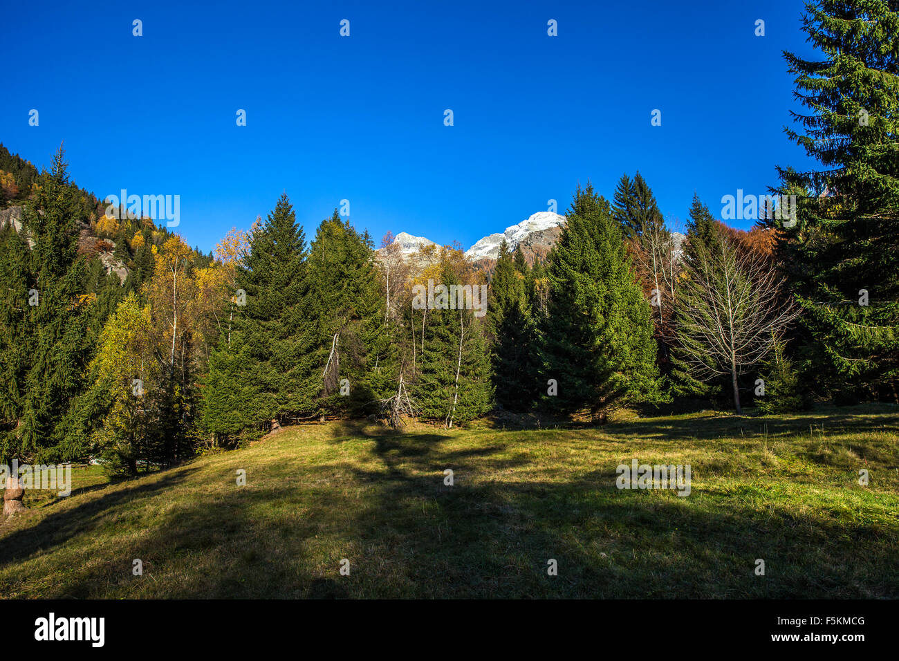Antillone hi-res stock photography and images - Alamy