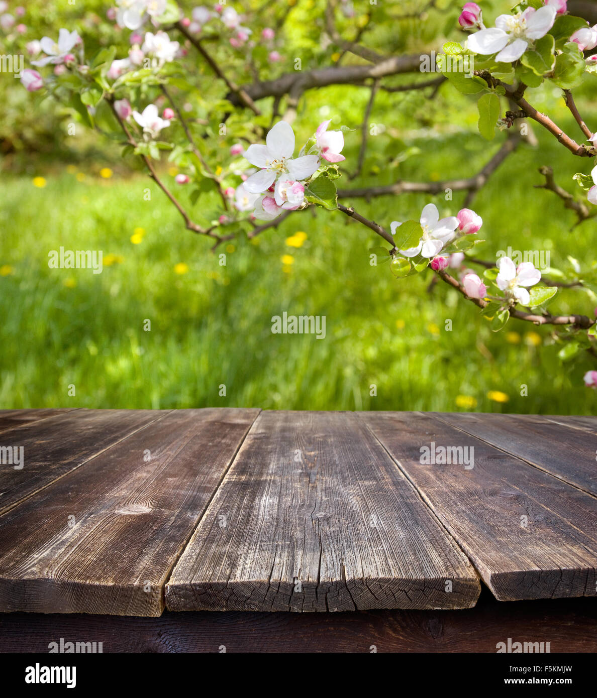 Empty table hi-res stock photography and images - Alamy