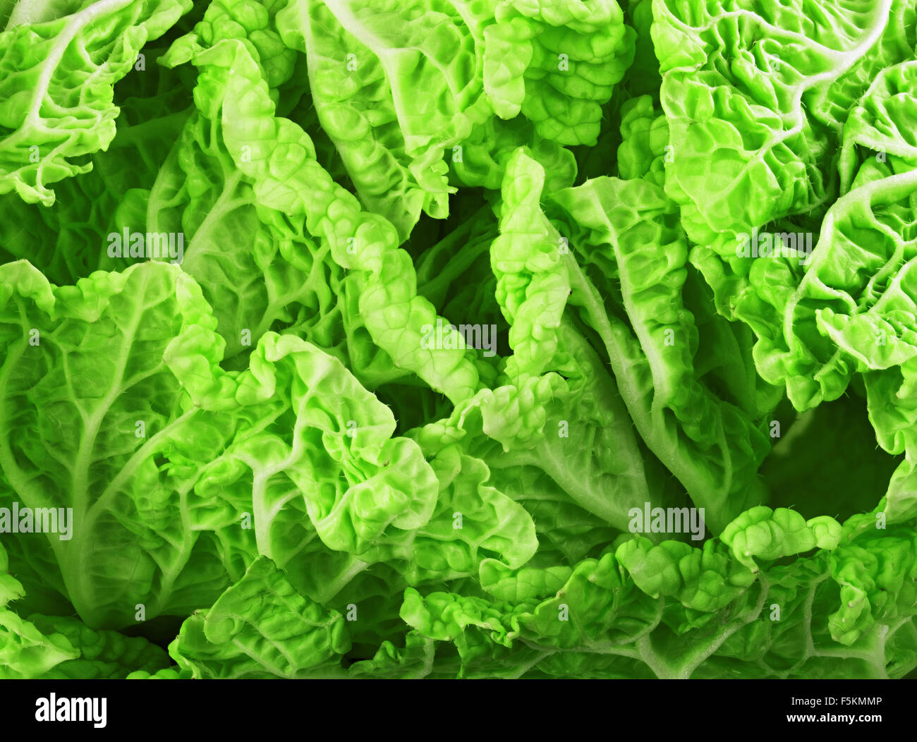 Lettuce leaves hi-res stock photography and images - Alamy