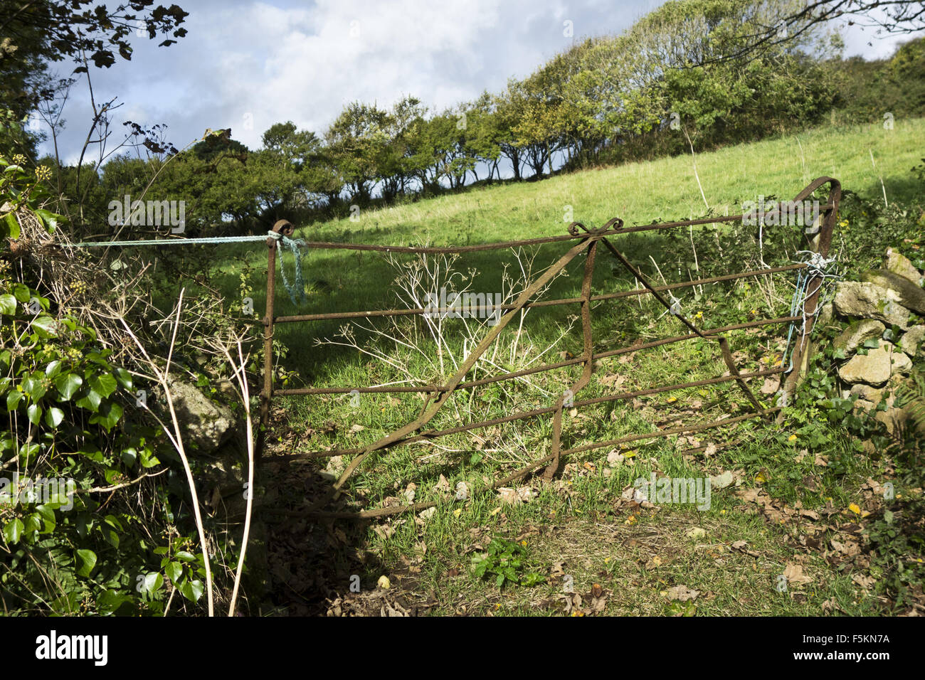 Old metal farm gate hi-res stock photography and images - Alamy