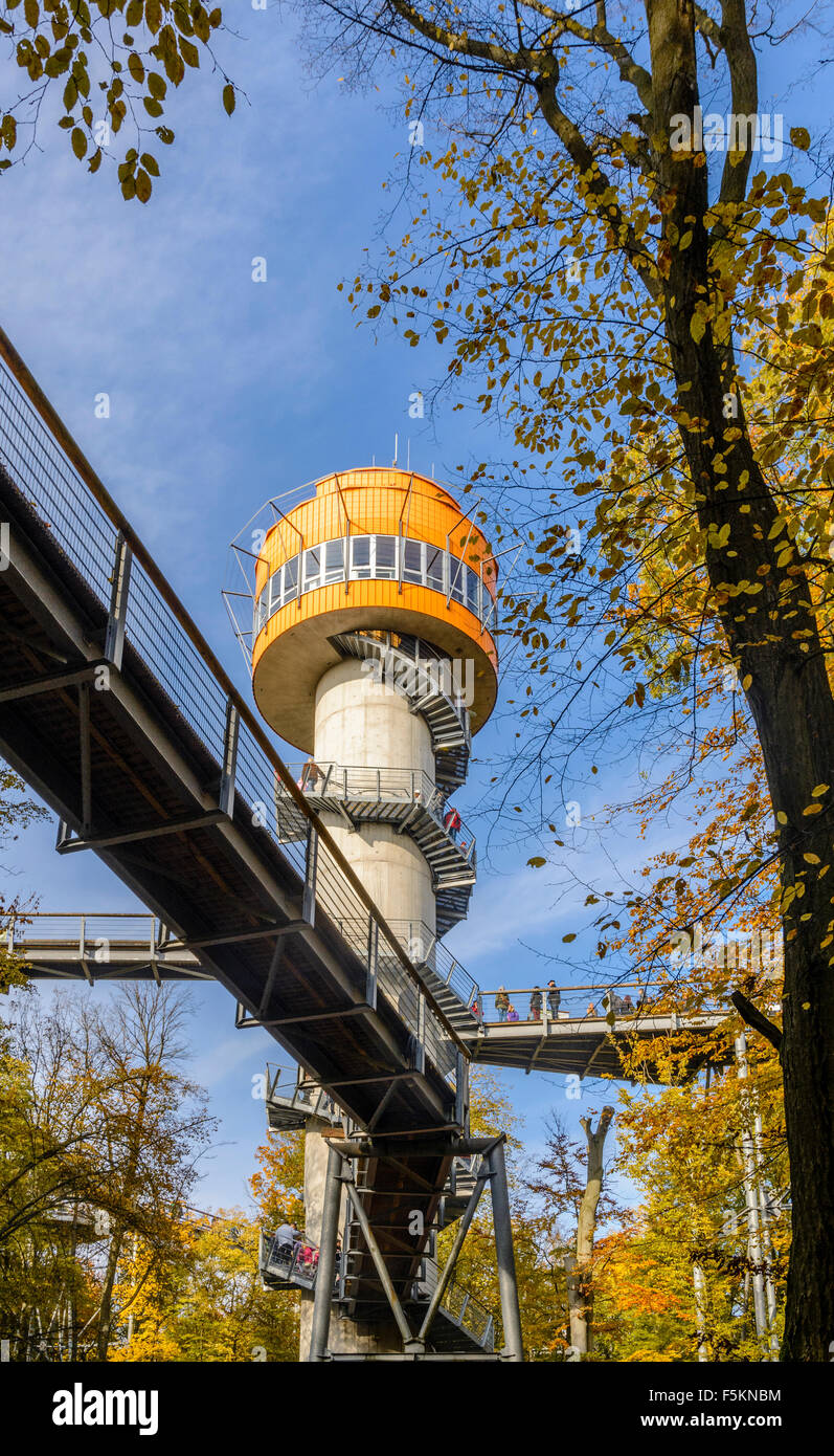 Treetop walkway in Hainich National Park, Thuringia, Germany Stock ...