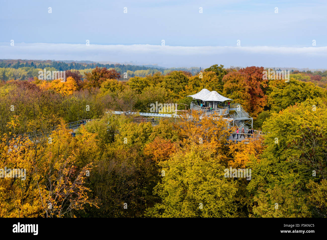 Treetop path in hainich national park hi-res stock photography and ...