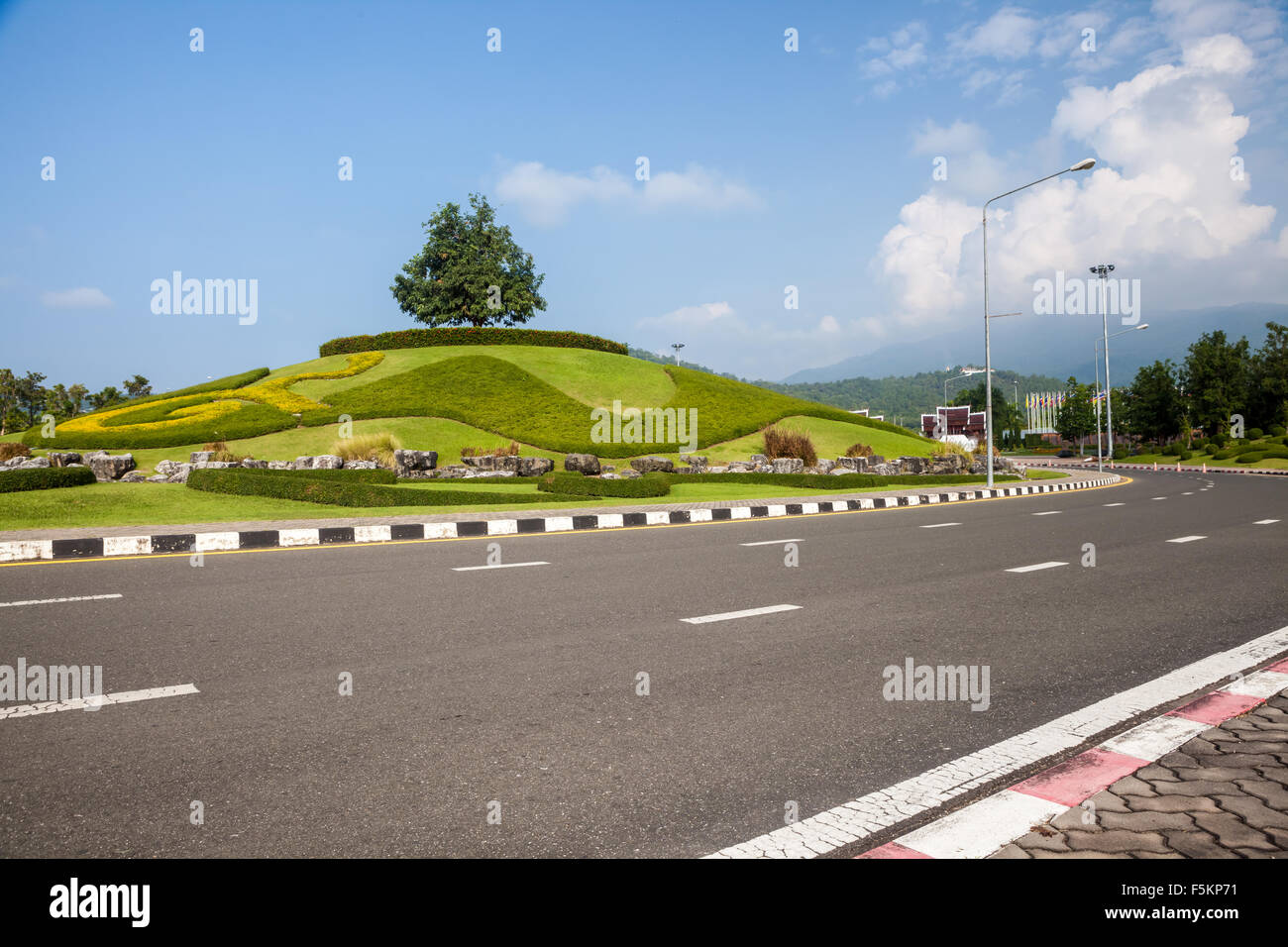 different streets come at a roundabout with a tree in the middle of the ...