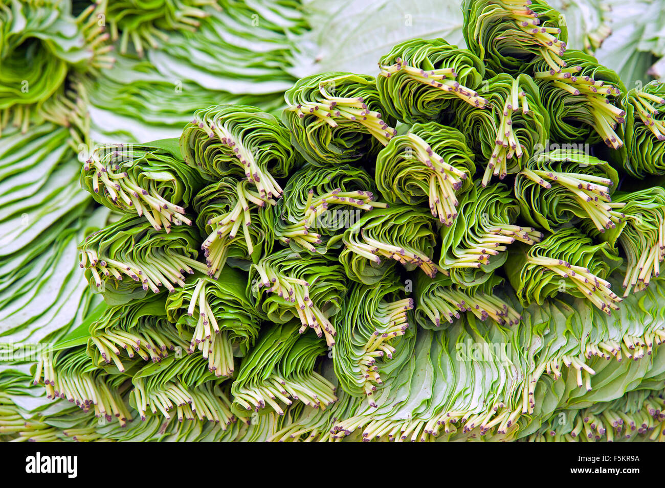 The Image of Paan selling in Dadar, Mumbai, India Stock Photo - Alamy