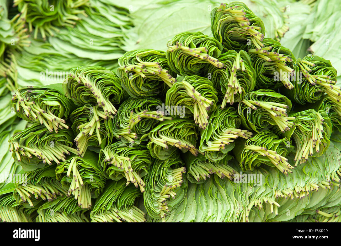 The Image of Paan selling in Dadar, Mumbai, India Stock Photo - Alamy