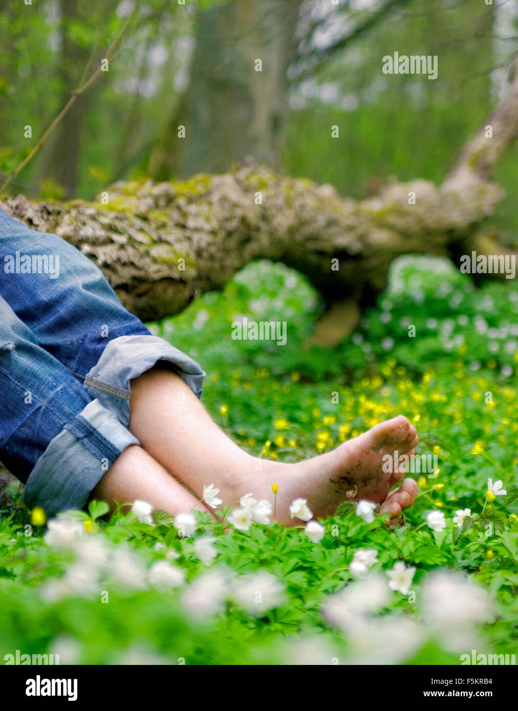 Legs spring hi-res stock photography and images - Alamy