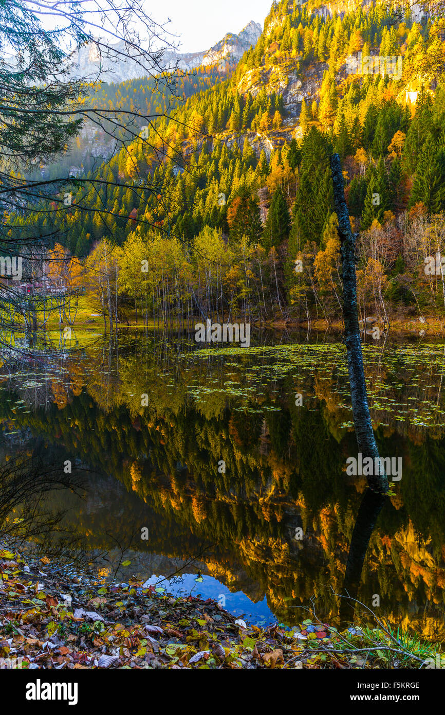 Antillone hi-res stock photography and images - Alamy