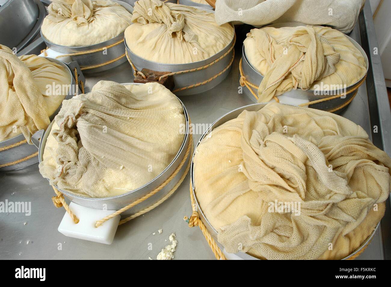 Agordino cheese, malga production of traditional cheese, loafs - Laste ...