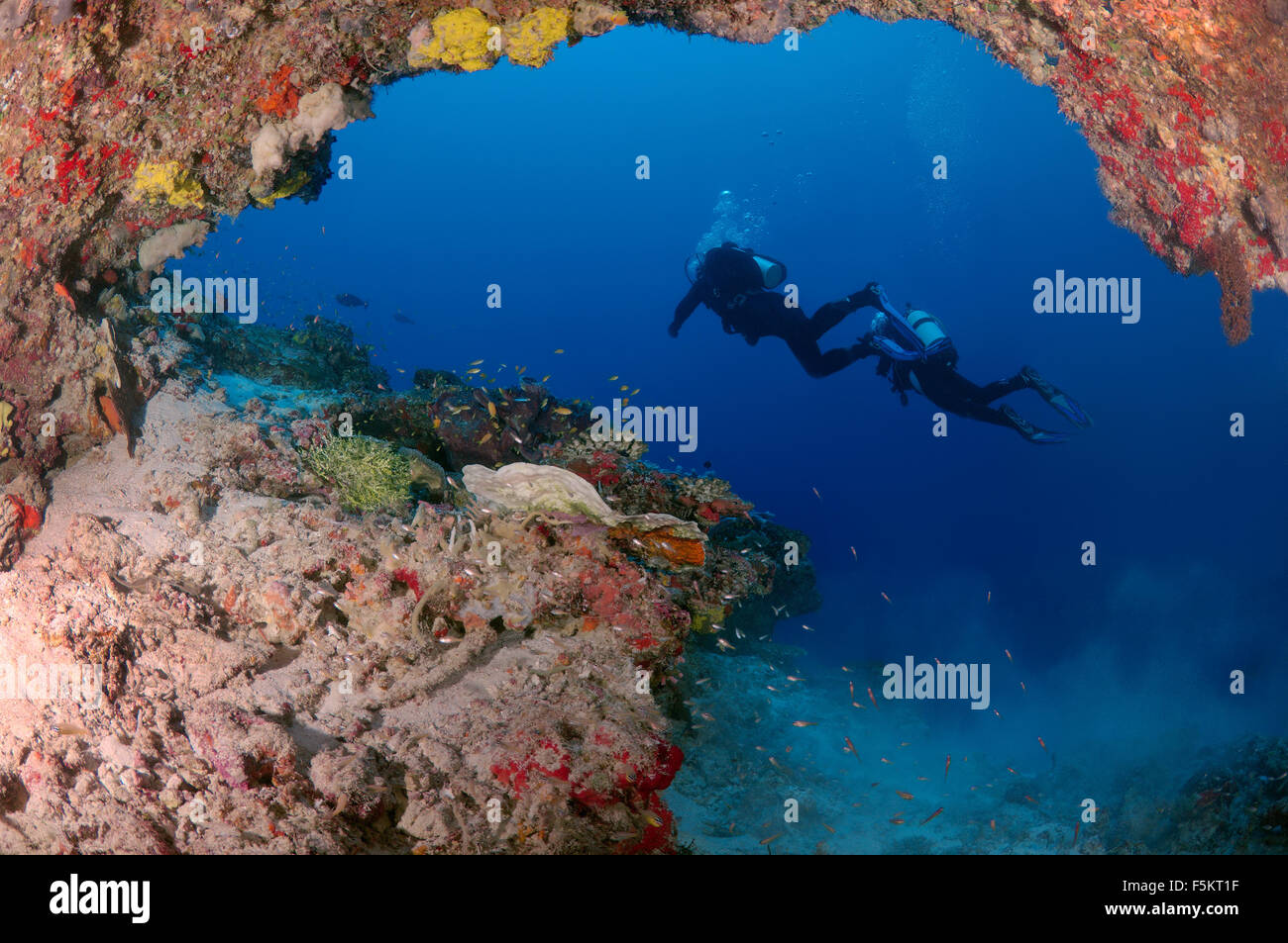 Young couple divers floating near the cave Indian Ocean, Maldives Stock ...