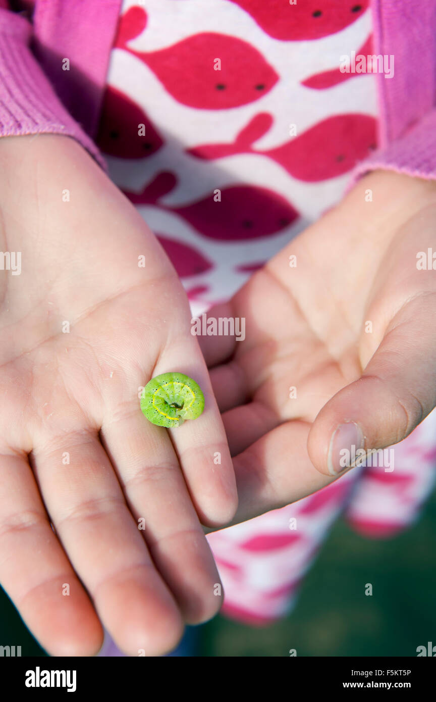 Human caterpillar hi-res stock photography and images - Alamy