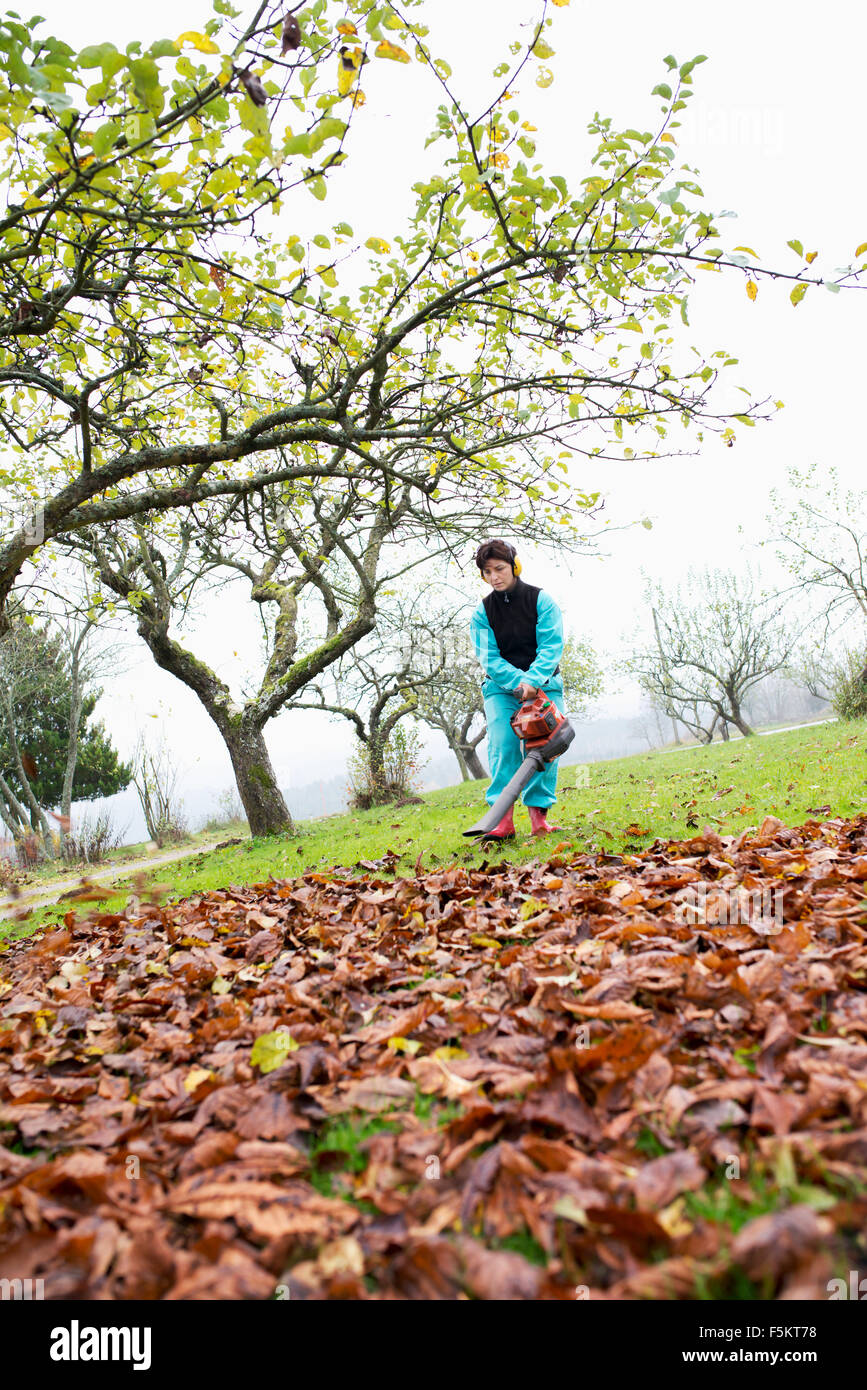 Leaf blower hi-res stock photography and images - Alamy