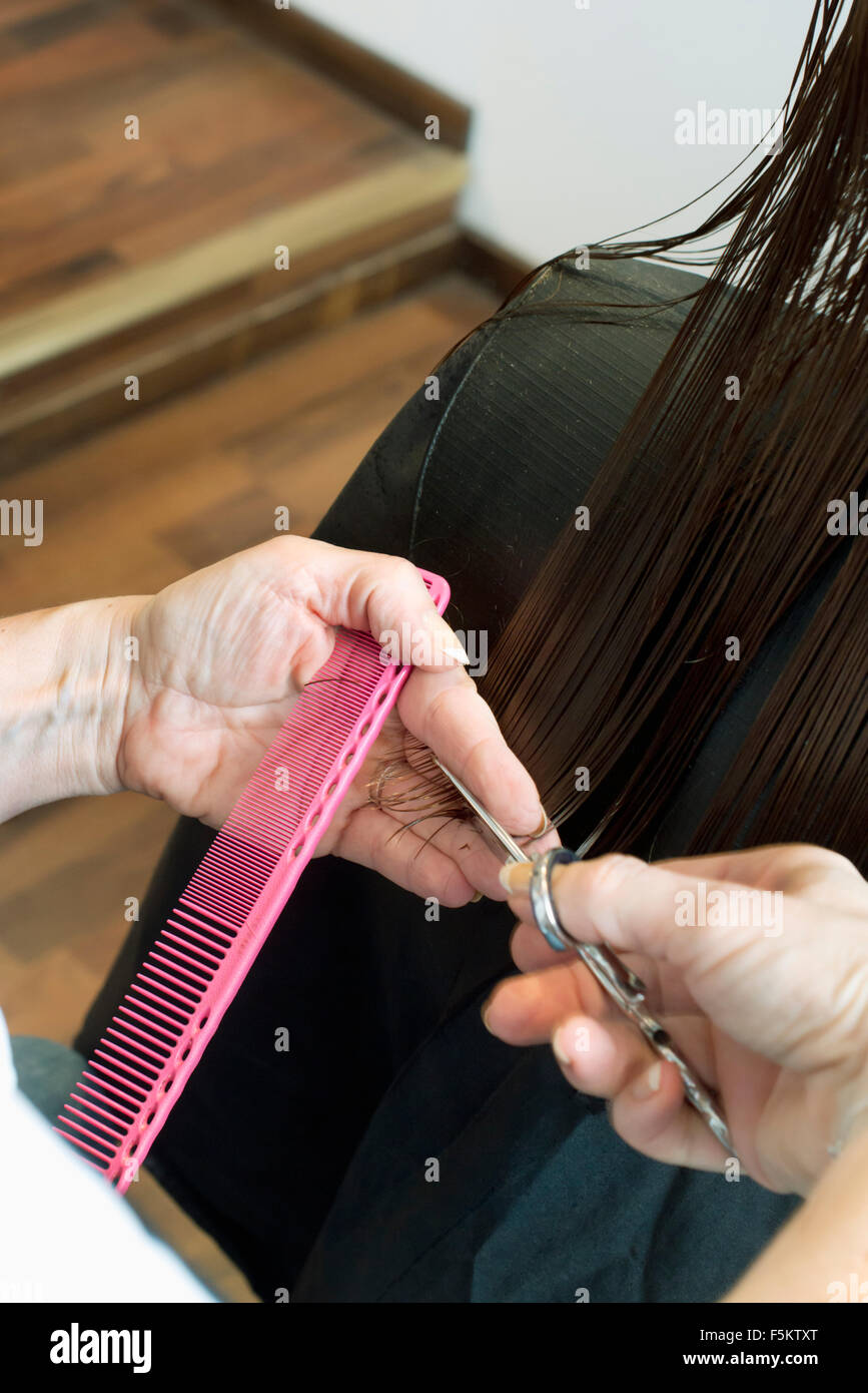 People cutting hair hi-res stock photography and images - Alamy