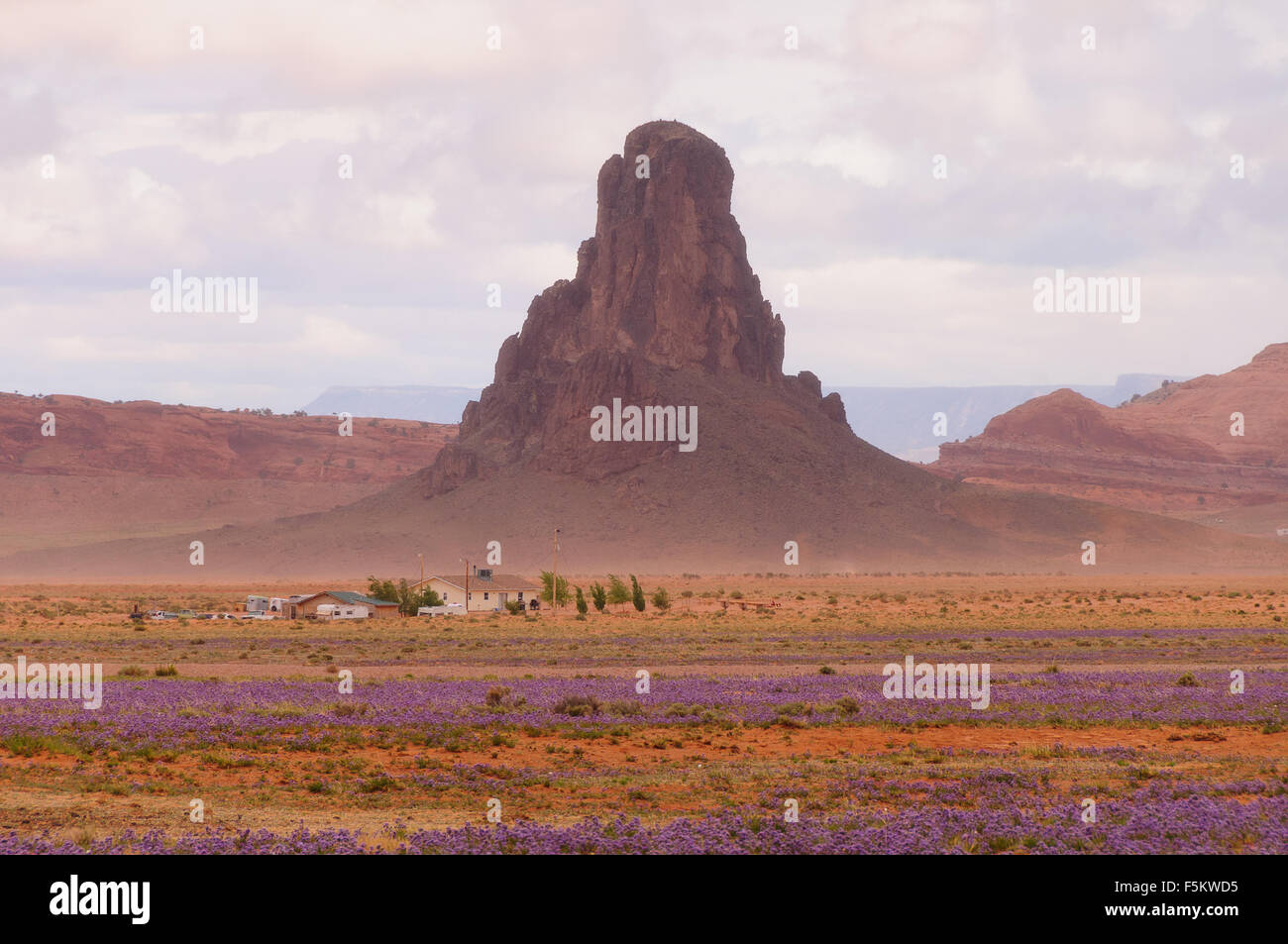 Springtime in Monument Valley USA Stock Photo - Alamy