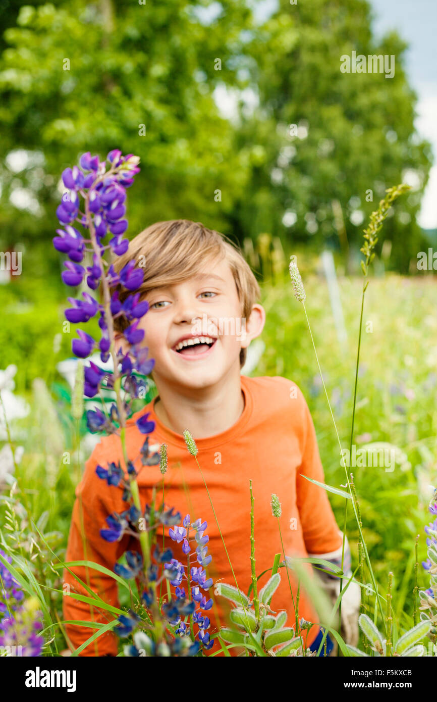 How looking this flower High Resolution Stock Photography and Images ...