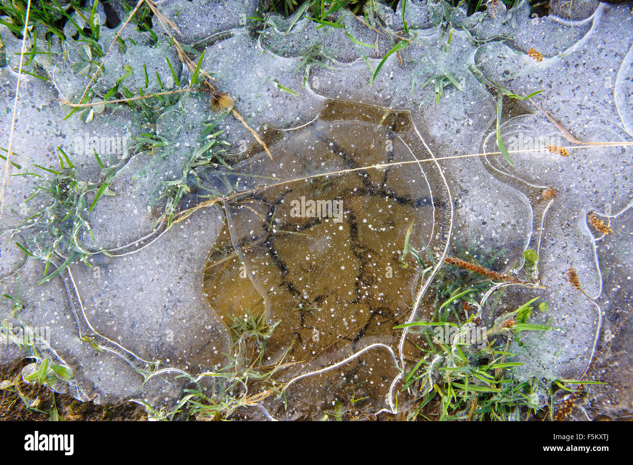Ice on the ground hi-res stock photography and images - Alamy