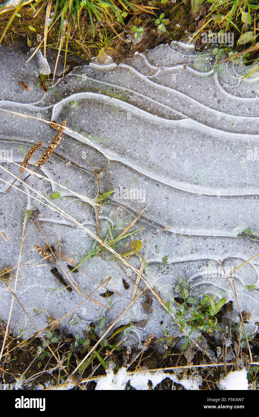 Frozen thin crust of ice on the ground Stock Photo - Alamy
