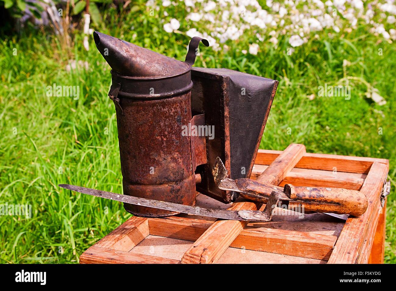 Vintage smoker and different kinds of beekeeper knifes on the wooden ...