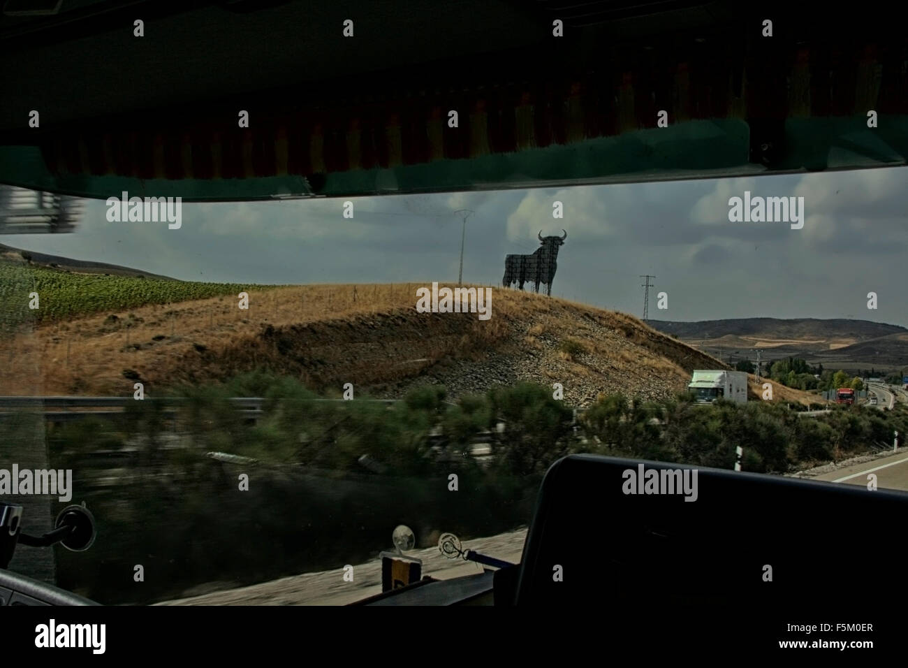 The Osborne bull from the interior a heavy truck. This bull is regarded ...