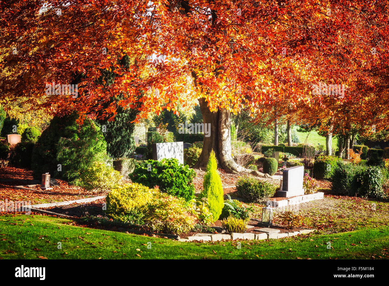 Old german cemetery in autumn with beautiful birch tree Stock Photo - Alamy