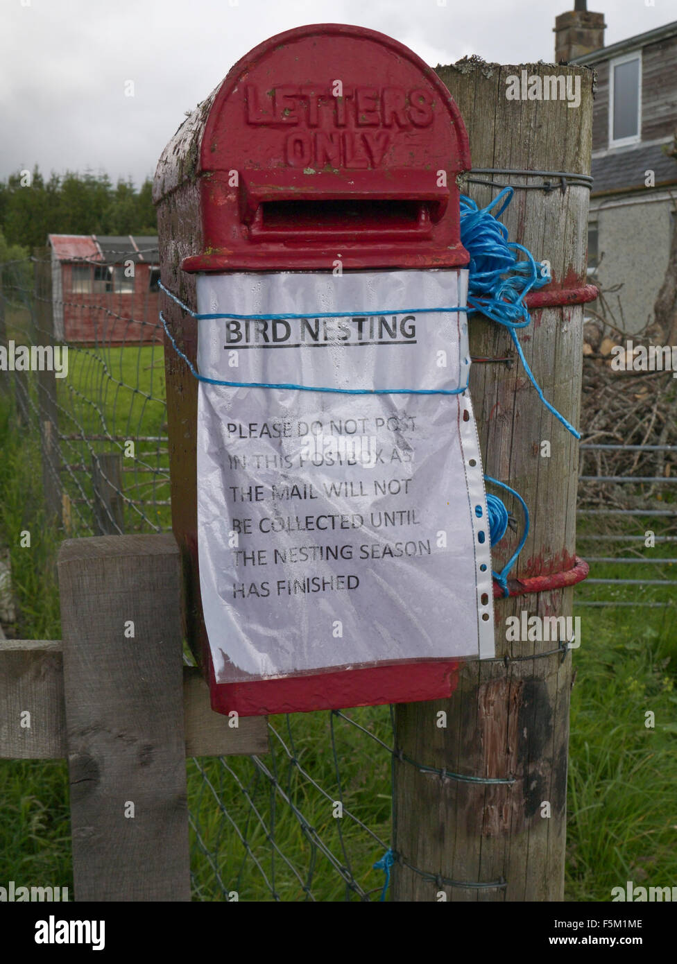 Funny letterbox hi-res stock photography and images - Alamy