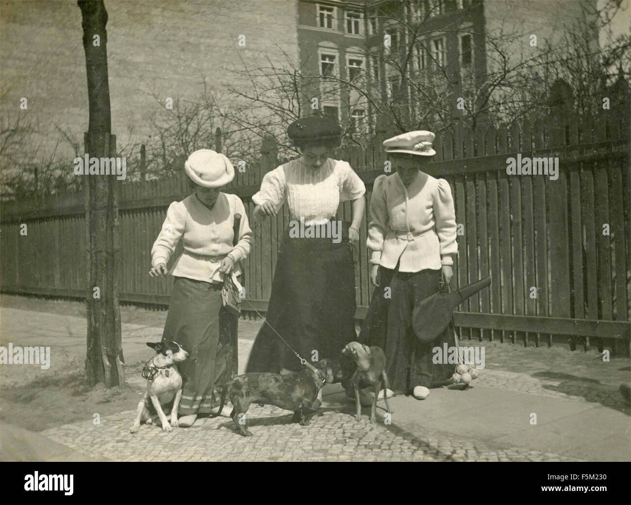 Street dogs hi-res stock photography and images - Alamy